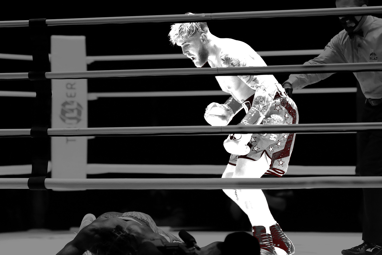 Gen Z Sports Fans Loves Boxing, New Data Shows