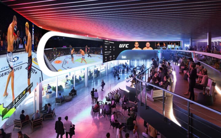 UFC's Pay-Per-View to Have Extra Feature: Fights in 8K