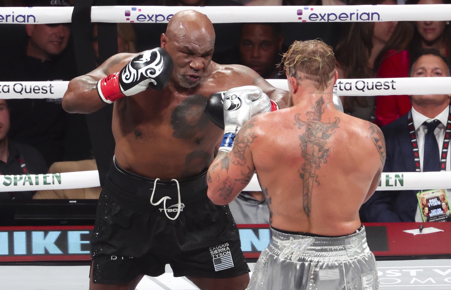 Mike Tyson Was a Top Trending Google Search in 2024
