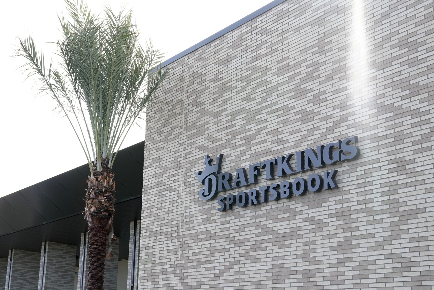 DraftKings Turns First Full-Year Profit, Stock Up 47% in 2025