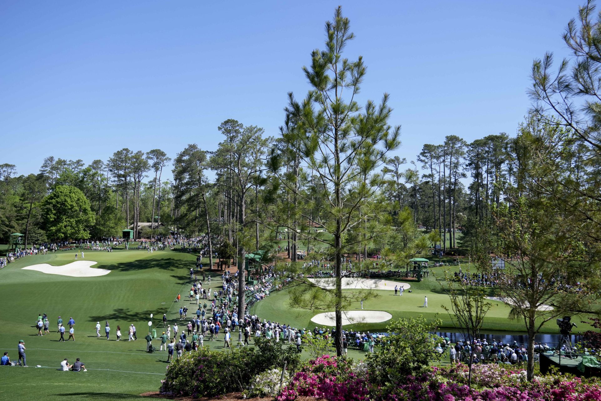 Masters Players, Patrons Noticing Tree Loss at Augusta National