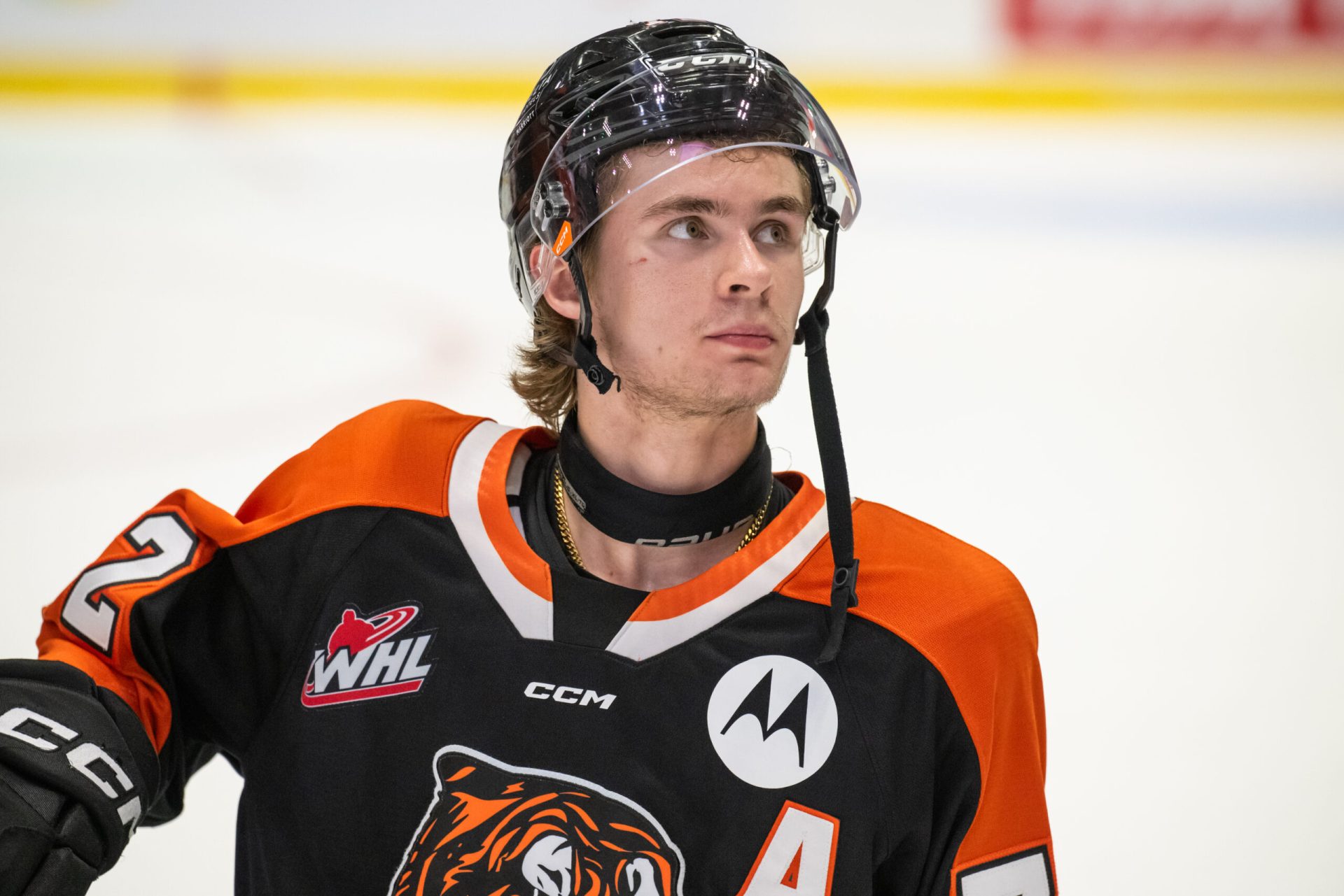 Downlond bokep read some good things about Jessica on the