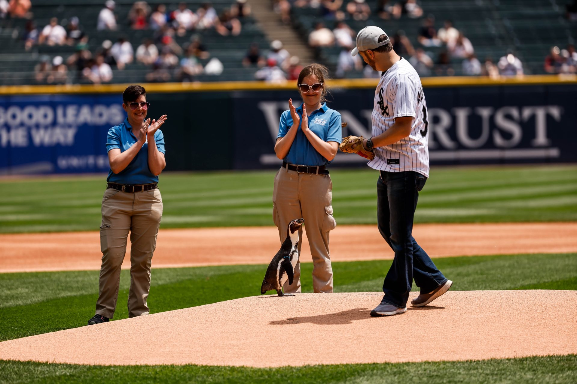 Baseball’s Celebrity Row: Behind MLB’s First-Pitch Ritual