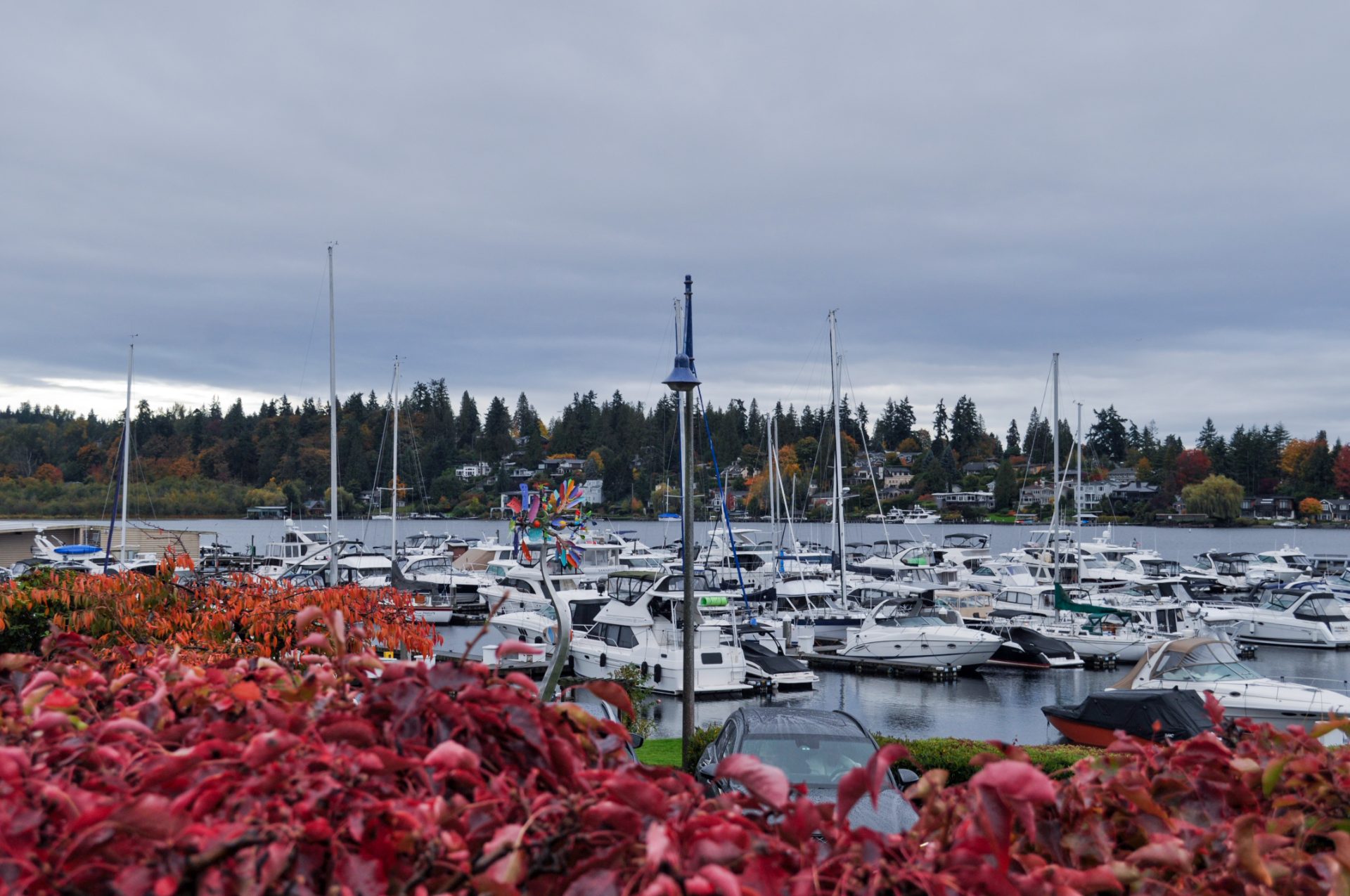 'Sailgating': Inside Washington Football's Tradition On the Water