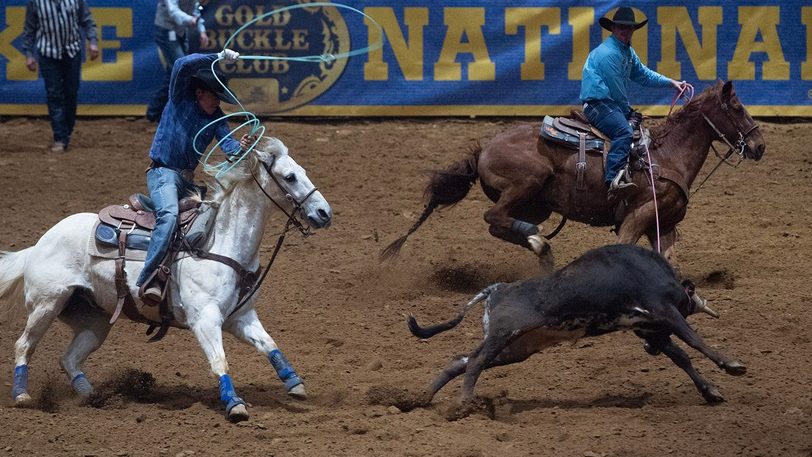 CVC’s New Sports Business Buys Into $300M Equestrian Company