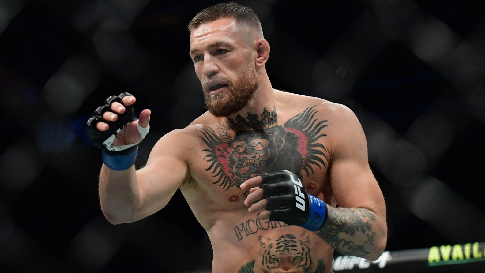 Conor McGregor Set for First UFC Fight in 5 Years